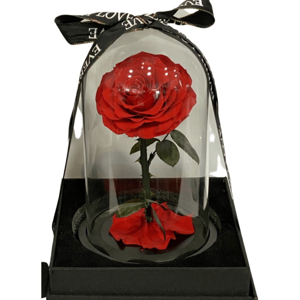 Everlasting Rose (Red) | Richmond Florist Melbourne